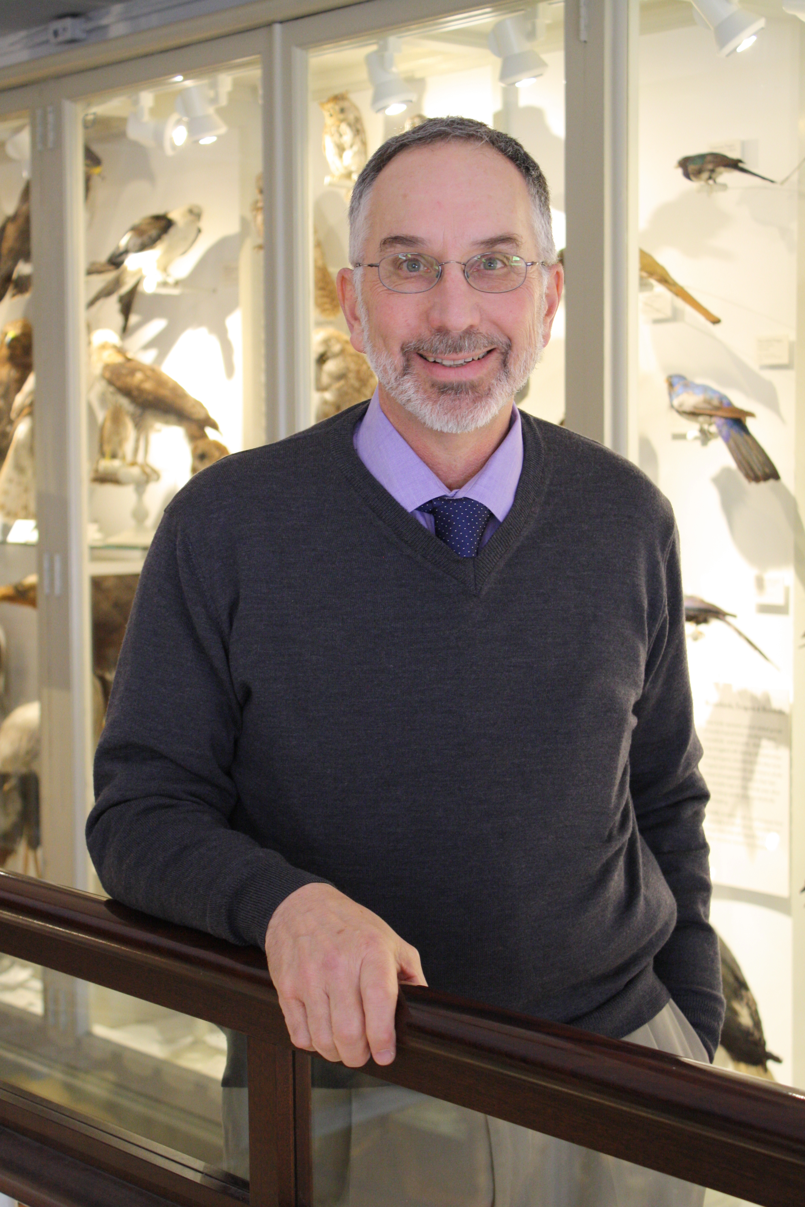 James Hanken | Museum of Comparative Zoology